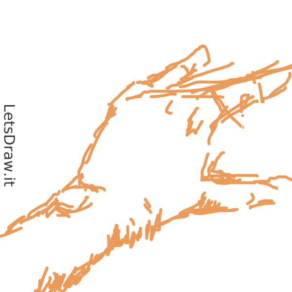 How to draw wrist / oi85q5sn9.png / LetsDrawIt