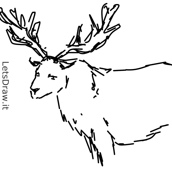 How to draw animal / oixse3xed.png / LetsDrawIt