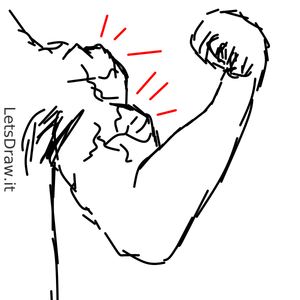 How to draw muscle / ojs9fjeyo.png / LetsDrawIt