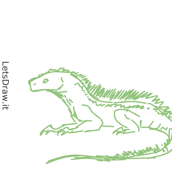 How to draw lizard / omb4gpf3a.png / LetsDrawIt