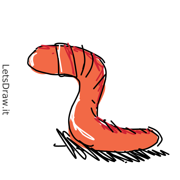 How to draw Worms / oofcd6661.png / LetsDrawIt