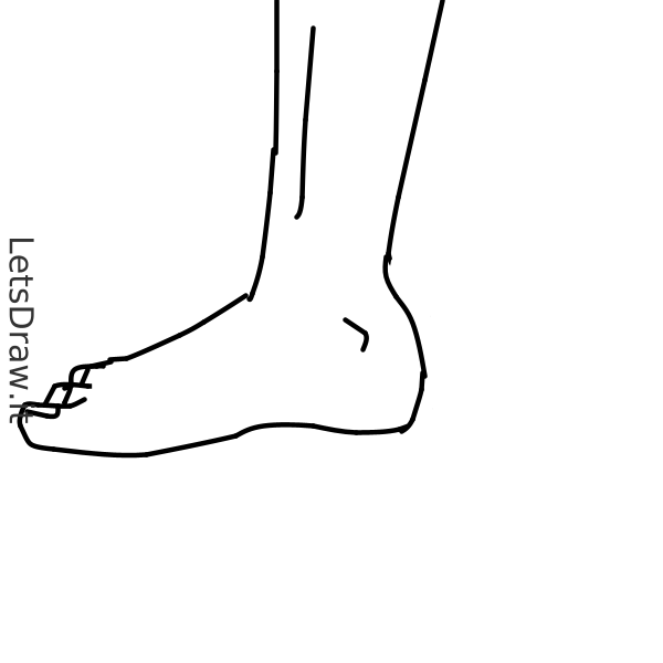 How to draw feet / oofkee5wz.png / LetsDrawIt