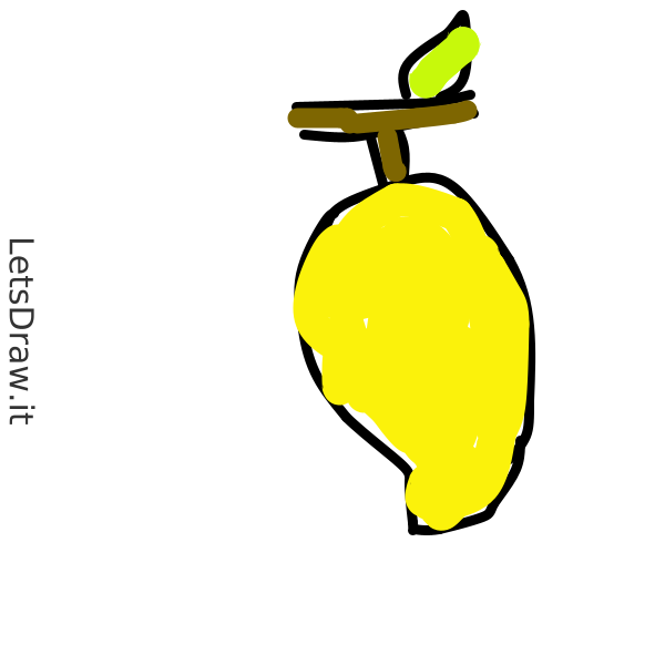 How to draw mango / oqhspu3a9.png / LetsDrawIt
