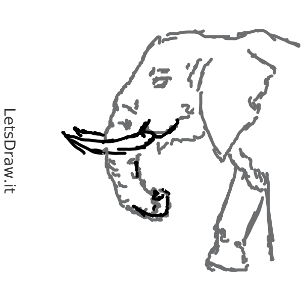 How to draw elephant / oxueoj54x.png / LetsDrawIt