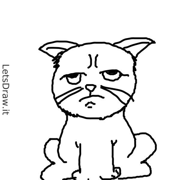 How to draw grumpy cat / oymfxzfjd.png / LetsDrawIt