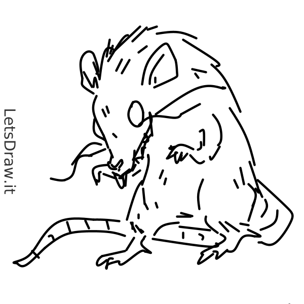 How to draw rat / oyw3ft8zq.png / LetsDrawIt
