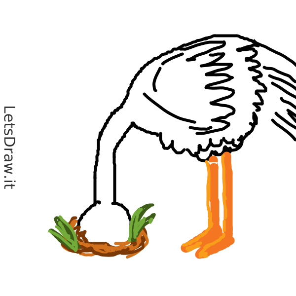 How to draw ostrich / p3pg1ytpd.png / LetsDrawIt