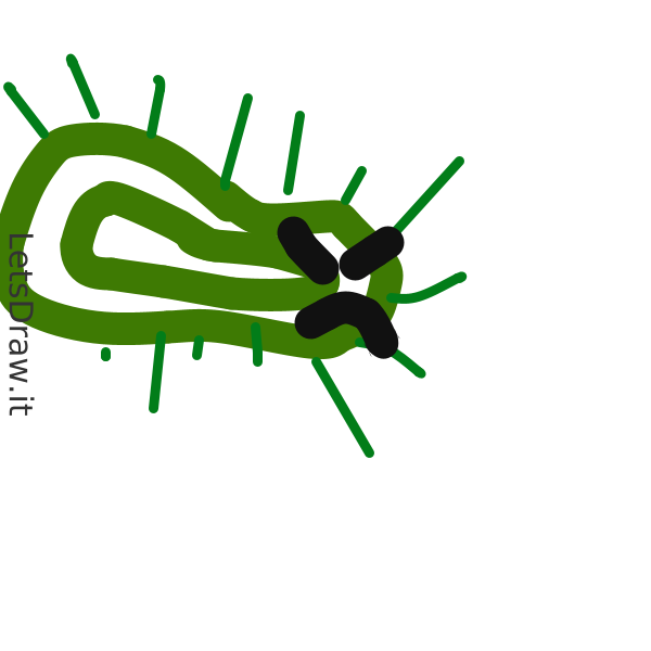 How to draw bacteria / p3r3m6cys.png / LetsDrawIt