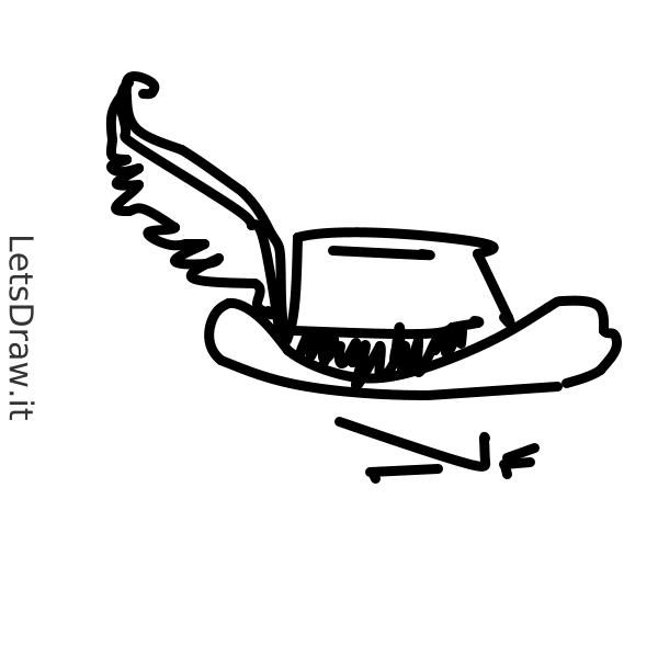 How to draw feathered hat / p4nwkzd6x.png / LetsDrawIt