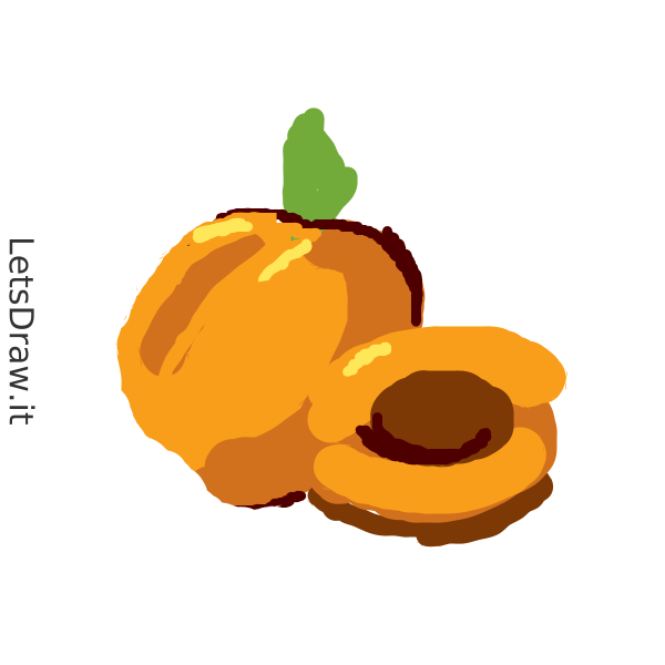 How to draw apricot / p5n3o9b3a.png / LetsDrawIt
