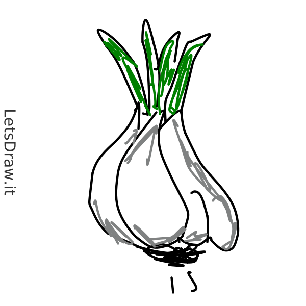 How to draw garlic / p5q8bnctw.png / LetsDrawIt