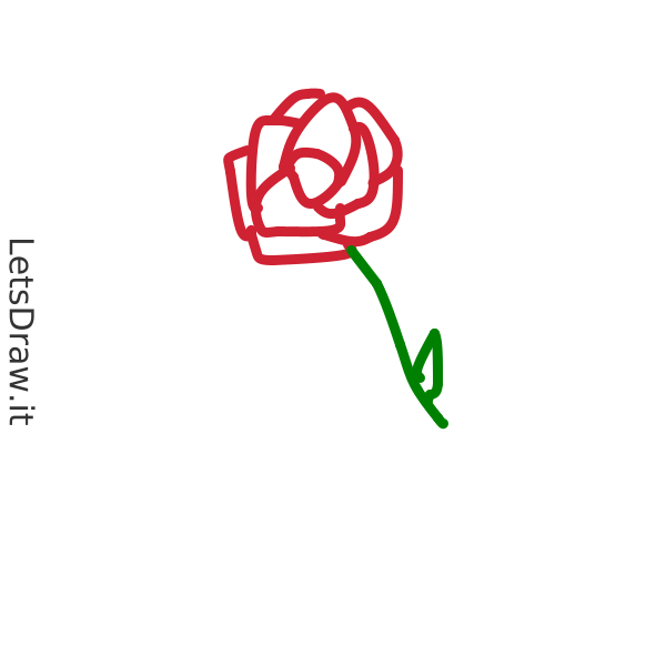 Eenvoudige Roos Tekenen Stap Voor Stap Een Illustratie Van Roos Met