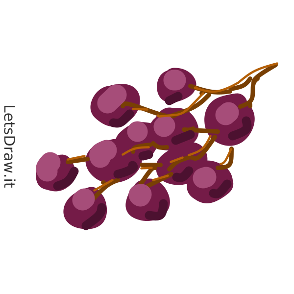 How to draw red grapes / pcffrjyjg.png / LetsDrawIt