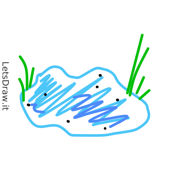 How to draw pond / pd9wpadp9.png / LetsDrawIt