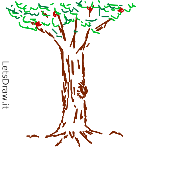 How to draw apple tree / pfb9pqdz6.png / LetsDrawIt