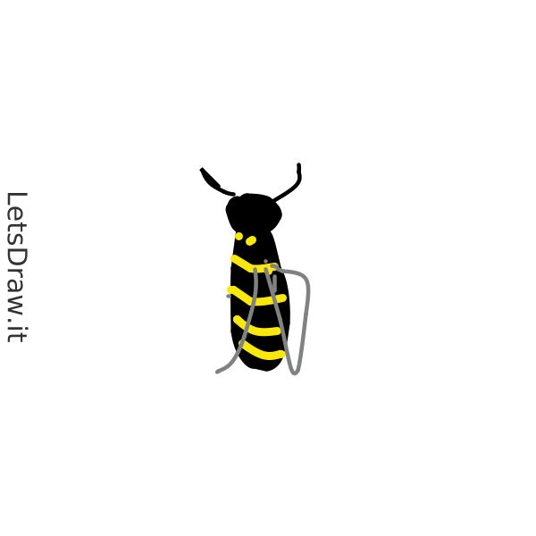 How to draw bee / pgdjbucpc.png / LetsDrawIt