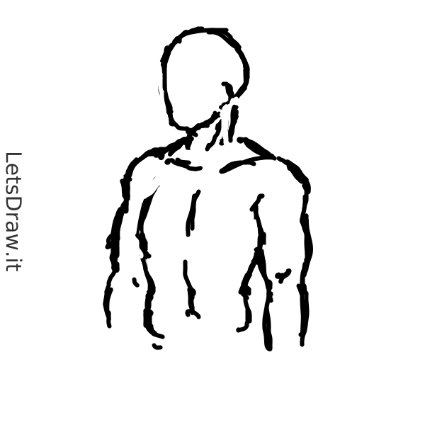 How to draw muscle / pgzdtx9fa.png / LetsDrawIt