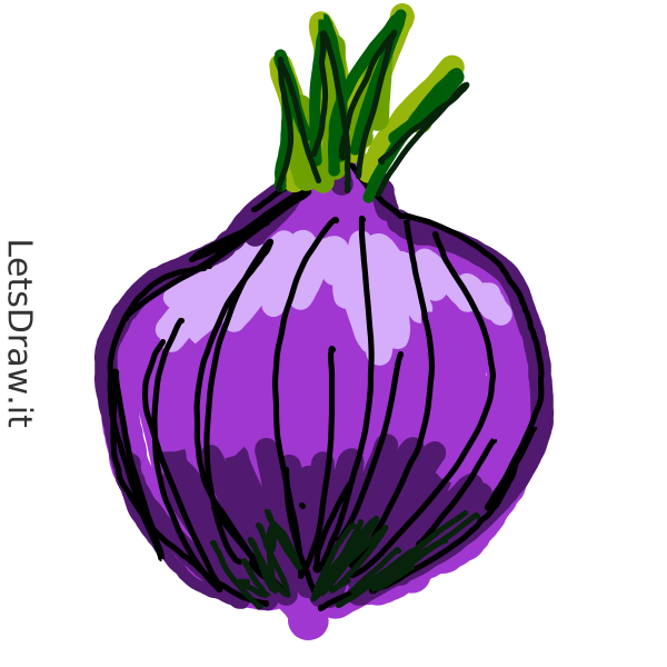 How to draw onion / pha3eiht4.png / LetsDrawIt