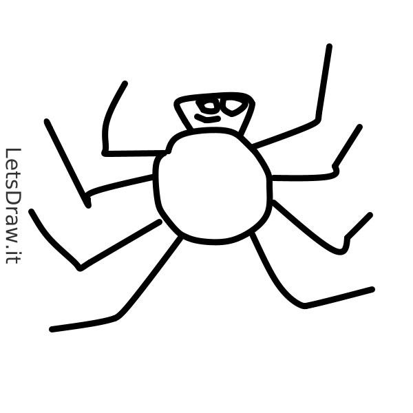 How to draw spider / pm91cte74.png / LetsDrawIt