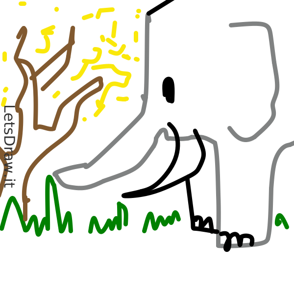 How to draw elephant / pnrwc8ap.png / LetsDrawIt