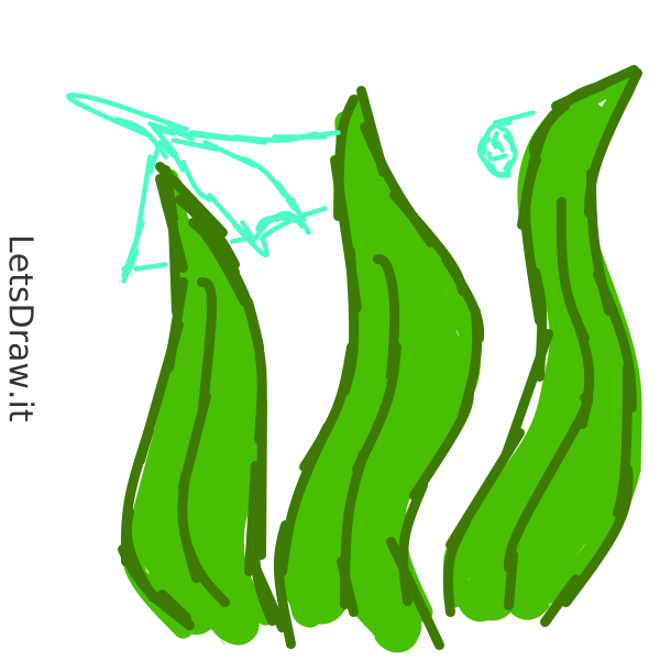 How to draw seaweed / pnx8j5iax.png / LetsDrawIt