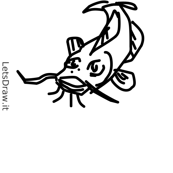 How to draw catfish / porpcw6qn.png / LetsDrawIt