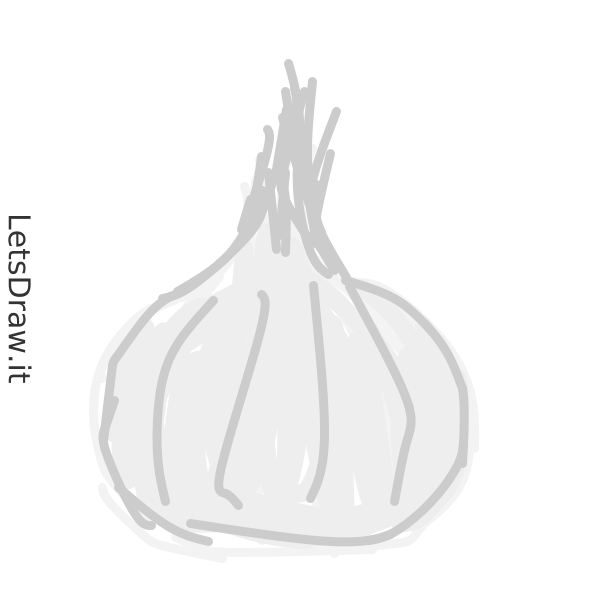 How to draw garlic / ppqoez8kg.png / LetsDrawIt