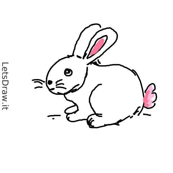 How to draw hare / pr3st13p8.png / LetsDrawIt