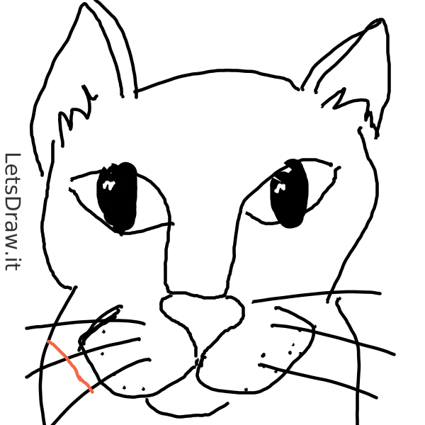 How to draw cat / prqxf18js.png / LetsDrawIt