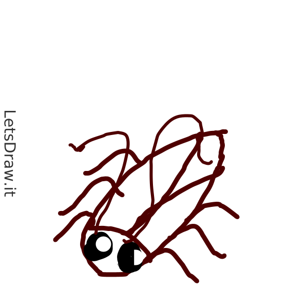 How to draw cockroach / prwtqijxu.png / LetsDrawIt