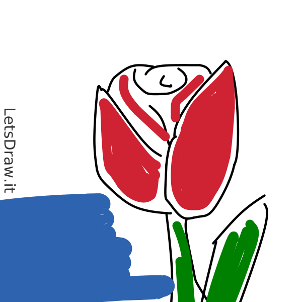 How to draw tulip / pzc9scw3.png / LetsDrawIt