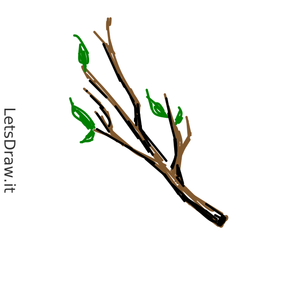 How to draw branch / q19obbgyt.png / LetsDrawIt