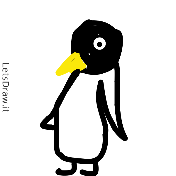 How to draw penguin / q1brhpz5.png / LetsDrawIt