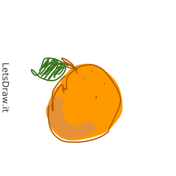 How to draw orange / q44hbibqb.png / LetsDrawIt