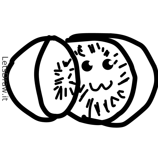 How to draw kiwi / q47bjznr.png / LetsDrawIt