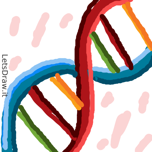 How to draw DNA / q4q4tgueu.png / LetsDrawIt