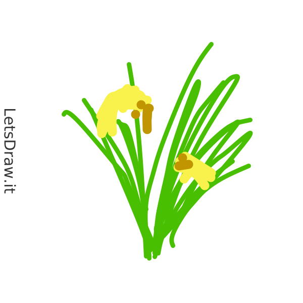 How to draw rice / q81cpus9k.png / LetsDrawIt