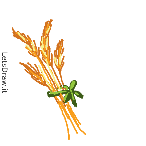How to draw wheat / q8a8ocxfy.png / LetsDrawIt