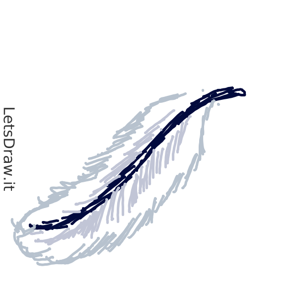 How to draw Feather / q8xm8z95p.png / LetsDrawIt