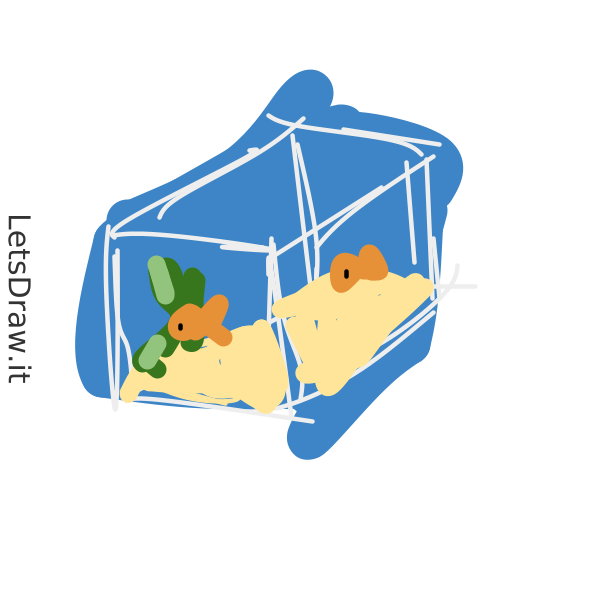 How to draw aquarium / LetsDrawIt