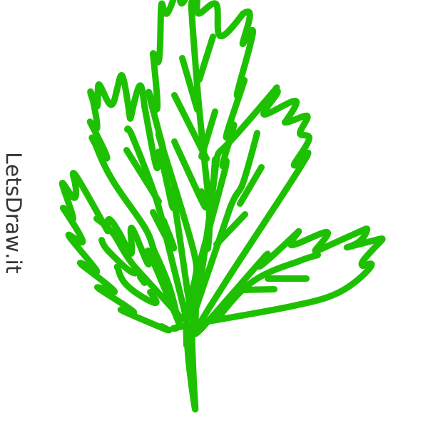 How to draw marijuana / qhenctdbc.png / LetsDrawIt