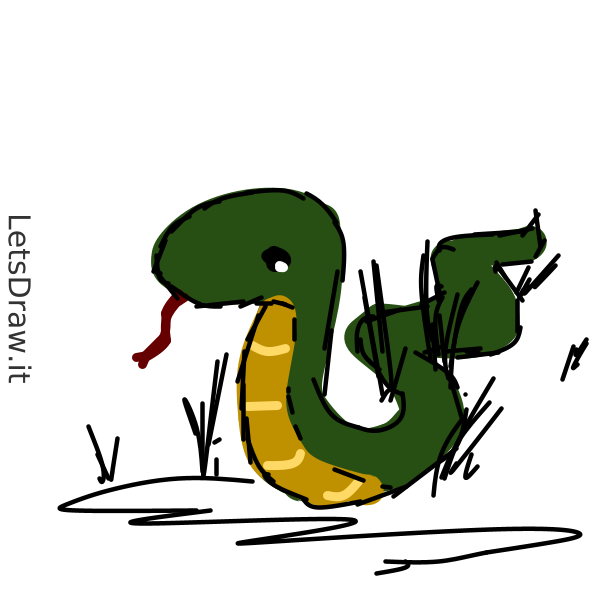 How to draw snake / qia5f6xq1.png / LetsDrawIt