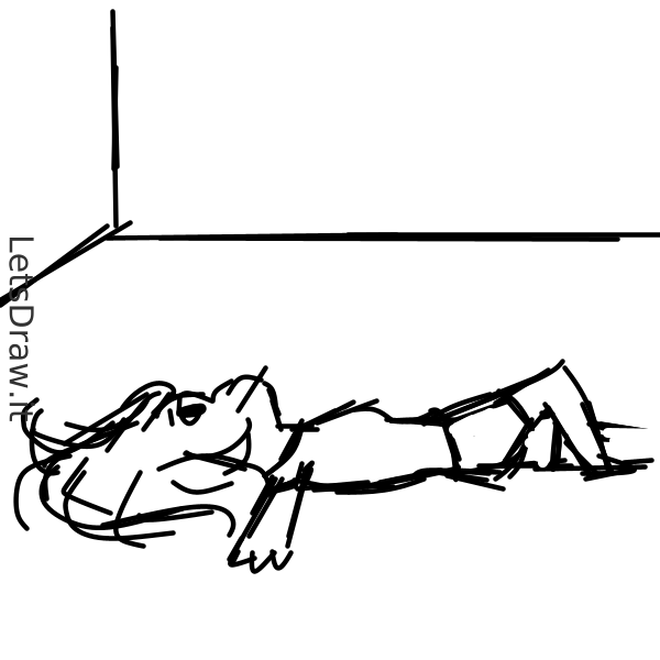How to draw floor / qindotfc.png / LetsDrawIt