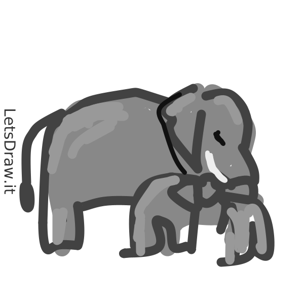 How to draw Elephants / qjr4k4fj4.png / LetsDrawIt