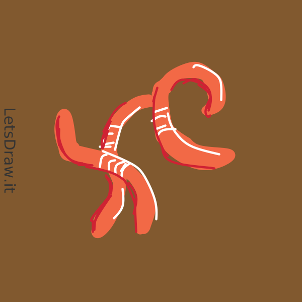 How to draw Worms / qmcsdtaa3.png / LetsDrawIt