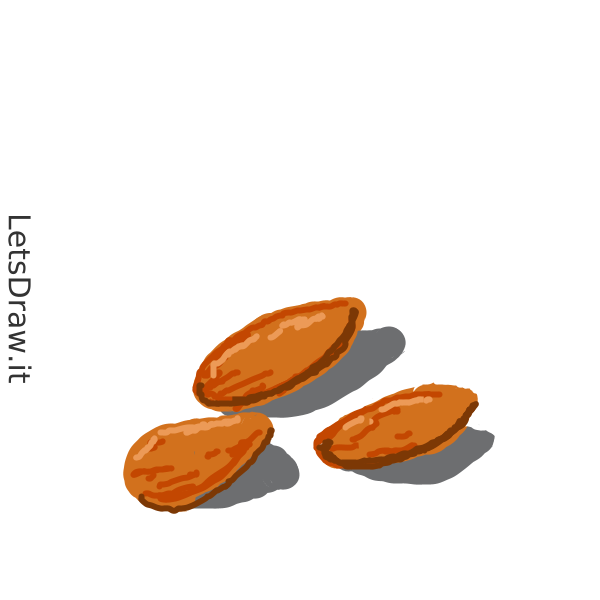 How to draw almond / qns9uw3xe.png / LetsDrawIt