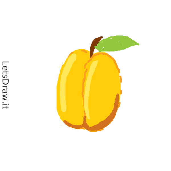 How to draw apricot / qob91d9op.png / LetsDrawIt
