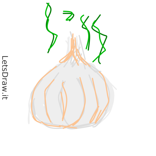 How to draw garlic / qoooe4qne.png / LetsDrawIt