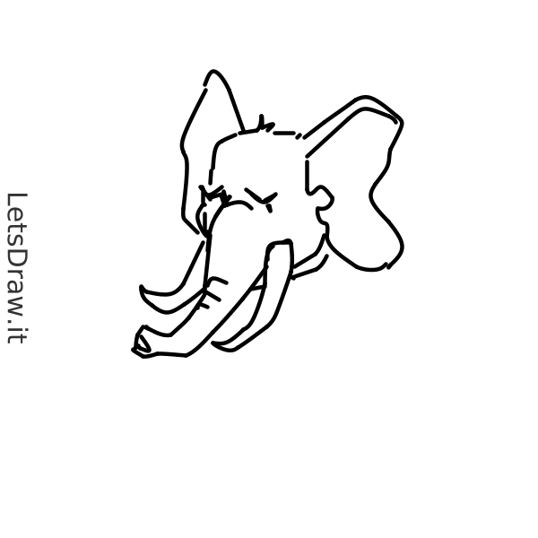 How to draw tusks / qopim1itx.png / LetsDrawIt