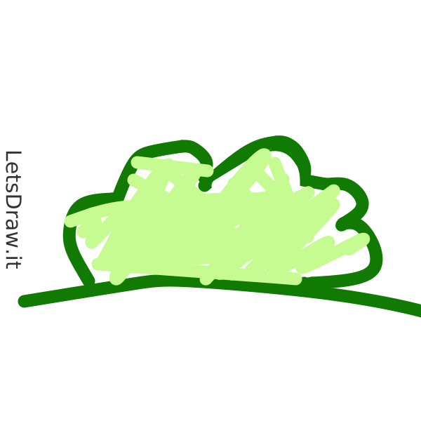 How to draw bush / qpr5j1cx5.png / LetsDrawIt